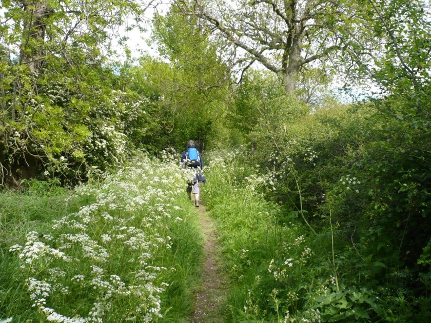Wendy Sheldon is fundraising for St. Leonard's Church
