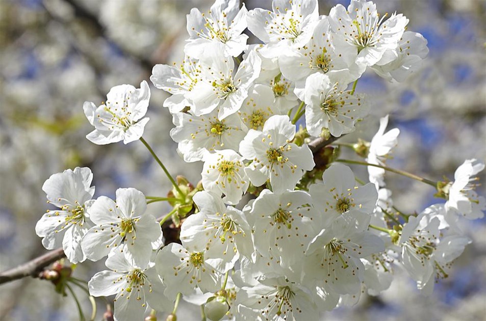 quintin wright is fundraising for Robes Project