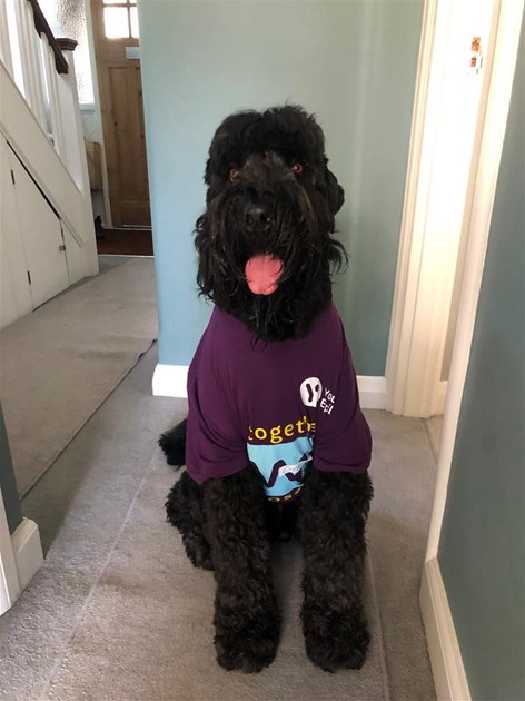 Carl Gebhard-Clark is fundraising for Young Epilepsy