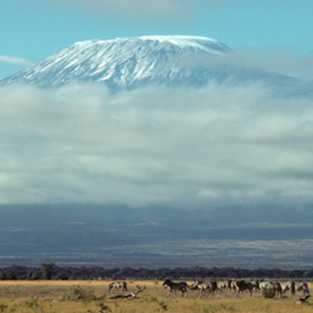 Peter Peake is fundraising for Caring at Christmas