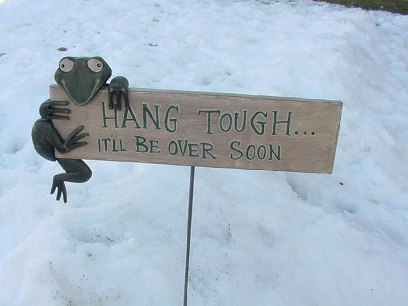 Marie Roe is fundraising for WWF-UK