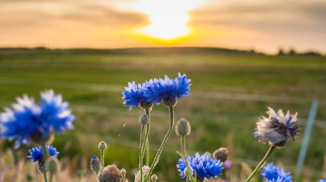 Dan Easton is fundraising for London Asbestos Support Awareness Group