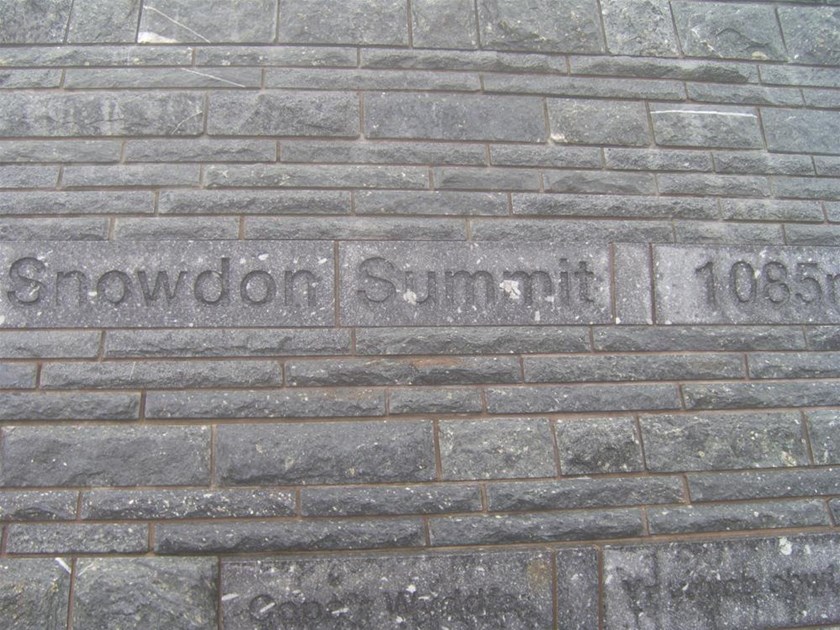 Andrew Baldock is fundraising for Back Up