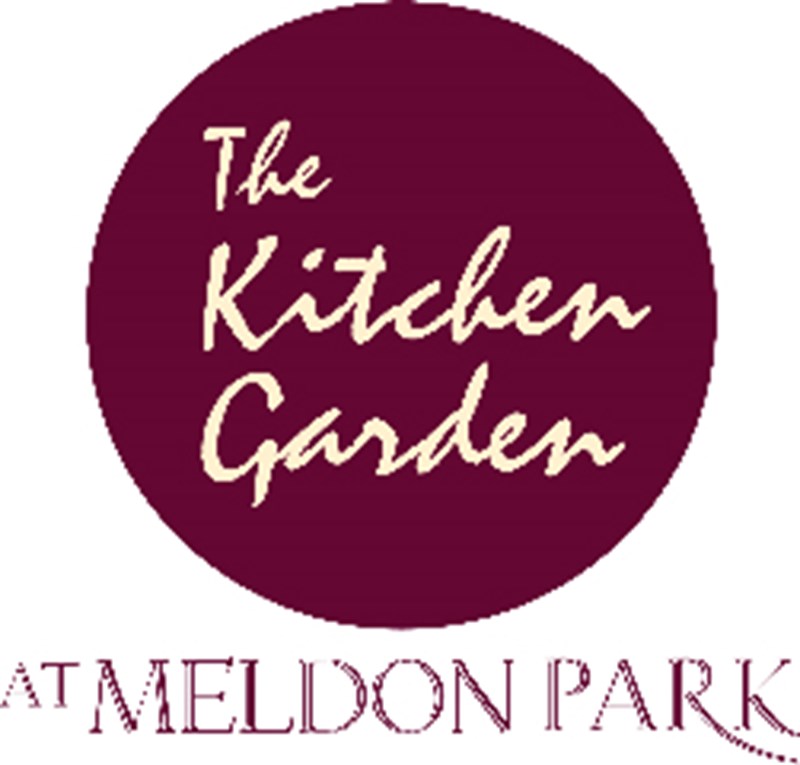 Emily Cookson is fundraising for Marie Curie