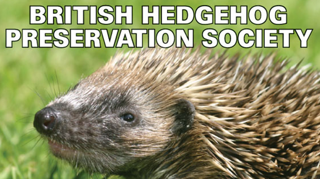 Elizabeth Spinks is fundraising for British Hedgehog Preservation Society