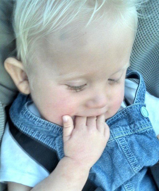 Alison Bloomer is fundraising for Tree of Hope