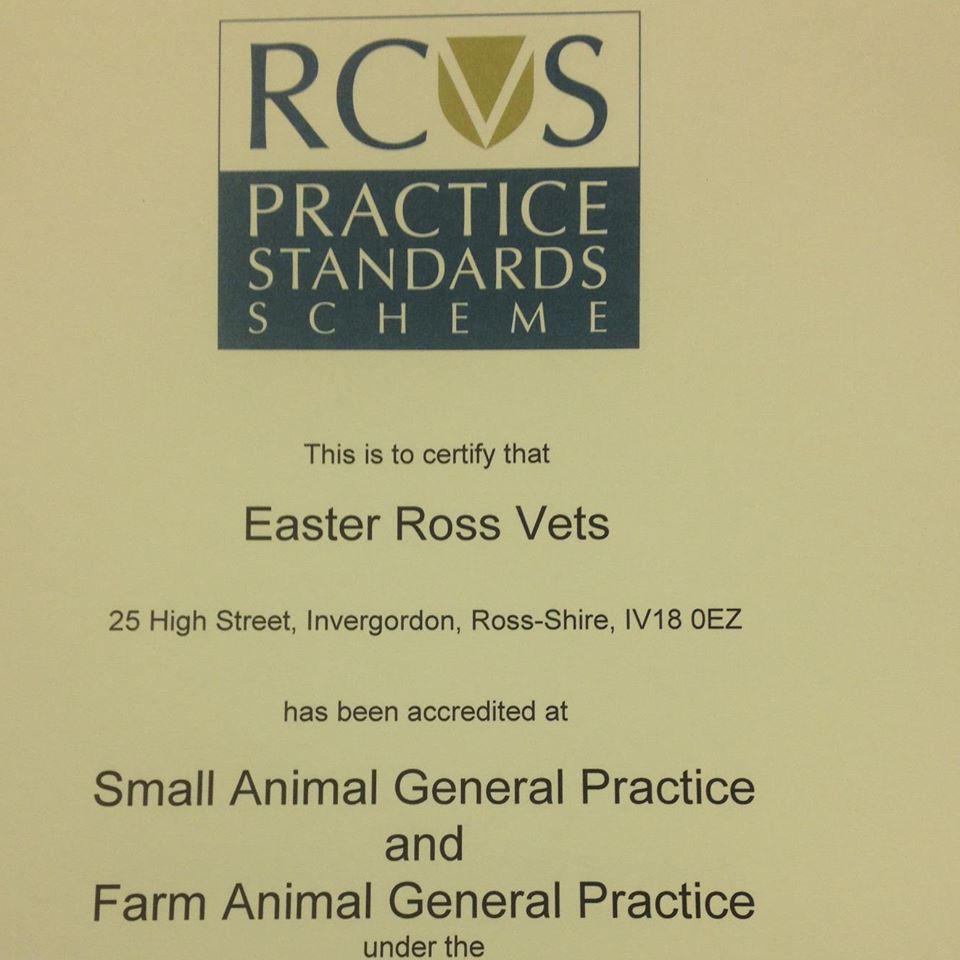 Easter Ross Vets is fundraising for Little Hearts Matter