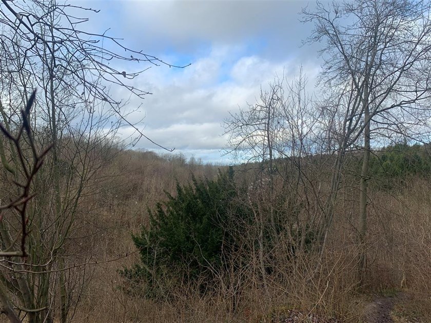 Tom Ungi is fundraising for Hospice UK