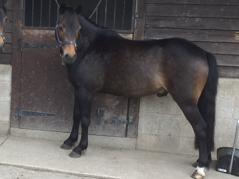 Alan Beverley is fundraising for St. James's Place Charitable Foundation