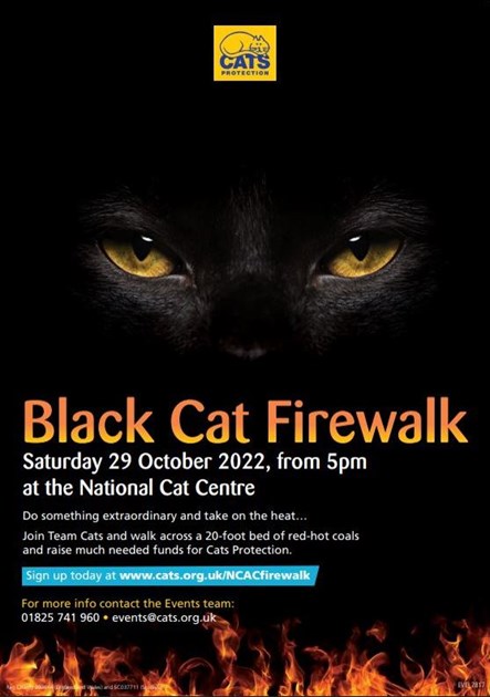 United Kingdom Cat Centre Cats Protection is fundraising for Cats ...