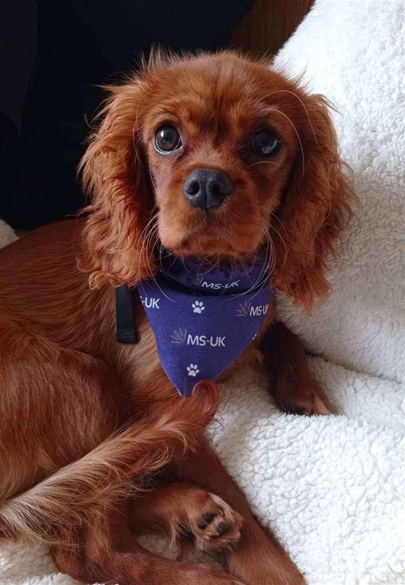 Vicky Bunting is fundraising for MS-UK