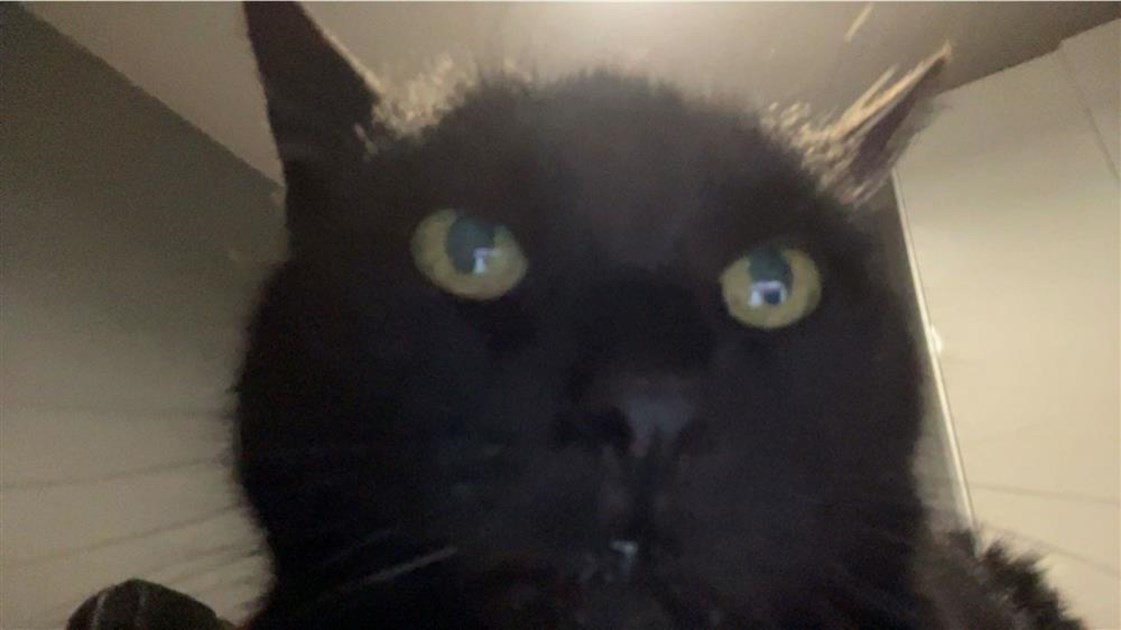 Jacob Reardon is fundraising for Teenage Cancer Trust