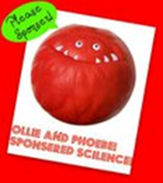 Phoebe Robertson is fundraising for Comic Relief: Red Nose Day