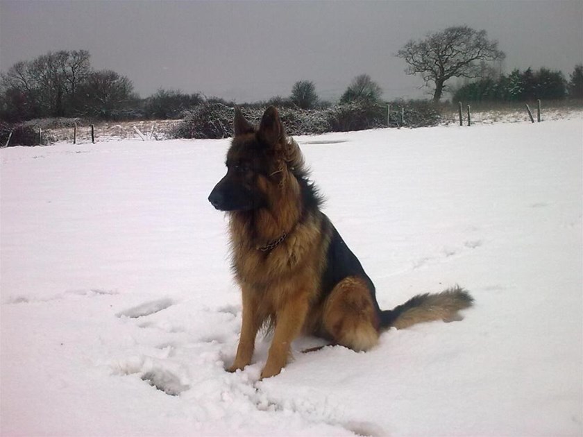 Julie Farrow is fundraising for Mountbatten Isle of Wight