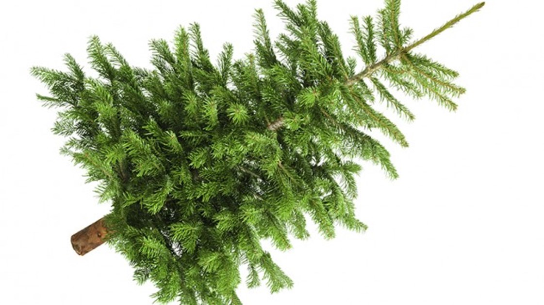 Sean Chilton is fundraising for Cancer Research UK