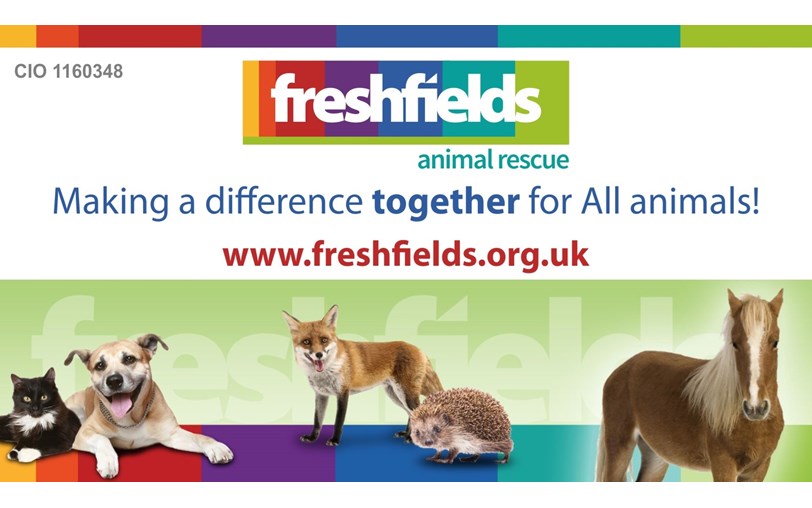 BDO Liverpool is fundraising for Freshfields Animal Rescue Centre