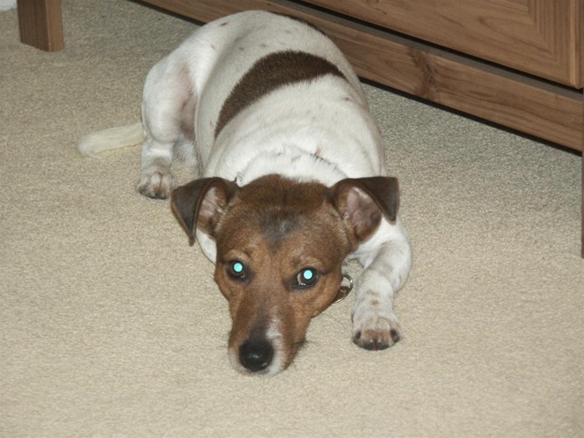 geoff cox is fundraising for War on Want