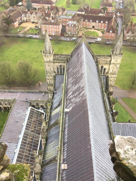 Kate Covill is fundraising for Alabaré