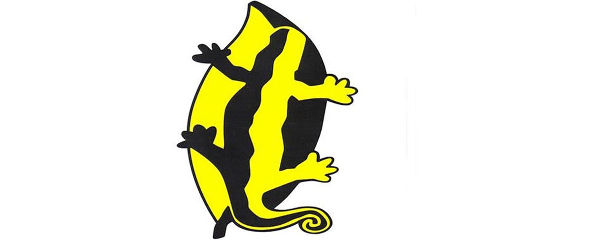 Pear Tree Primary School is fundraising for NHS Charities Together