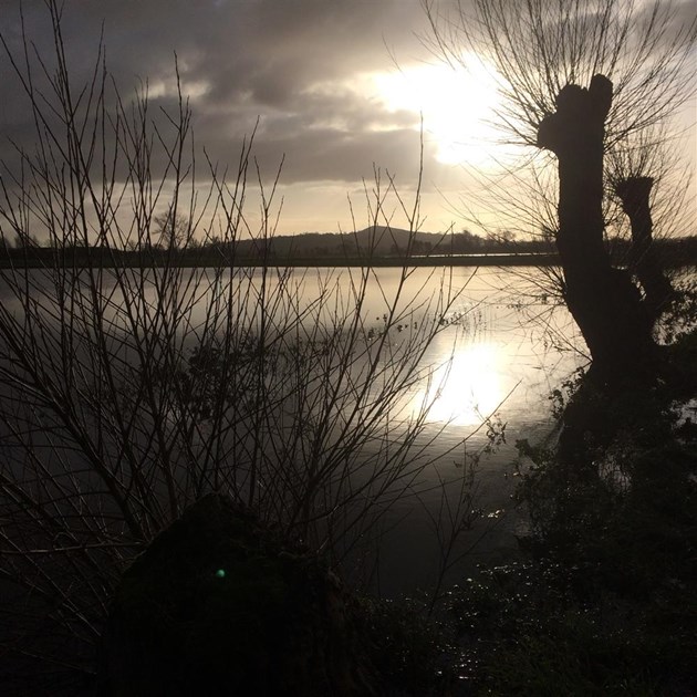 Kizzy Harris is fundraising for Women v Cancer Ride the Night 2020