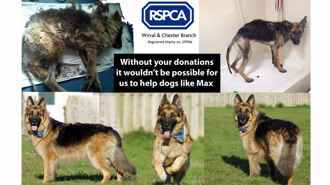 Karl Murphy is fundraising for RSPCA Wirral & Chester
