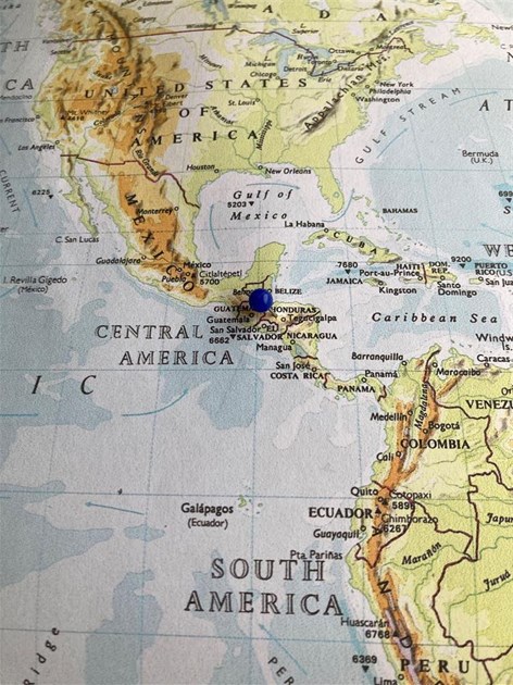 Rosy Morelli is fundraising for Project Trust