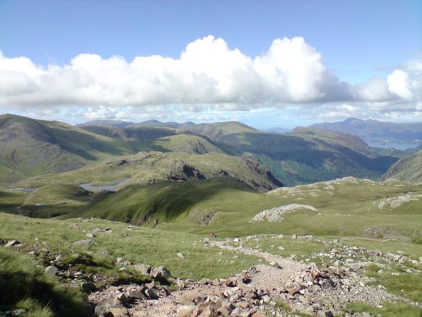 Alex Wilcoxson is fundraising for Alzheimer's Society