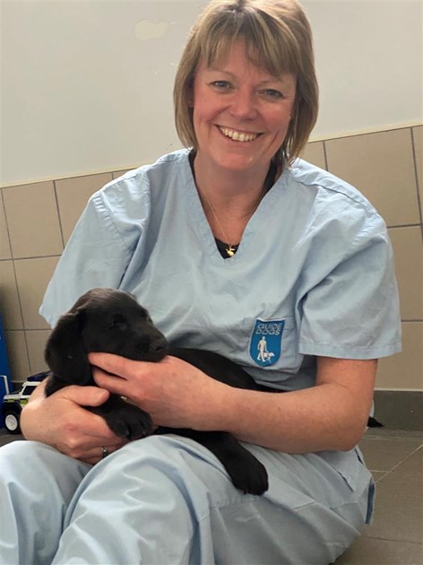 Heidi Webster is fundraising for Guide Dogs