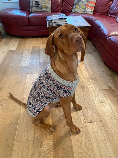 Adrian Jordan is fundraising for Jessie May