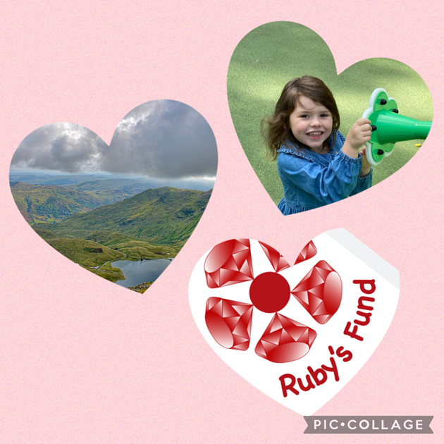 Frances Wilcox is fundraising for Ruby's Fund