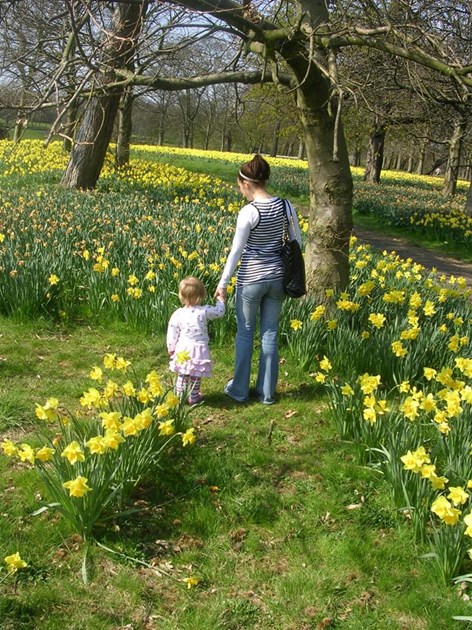 Diane Rimmer is fundraising for Cancer Research UK