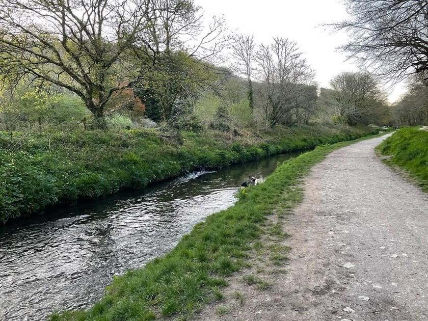 Janet Pollard is fundraising for Crisis