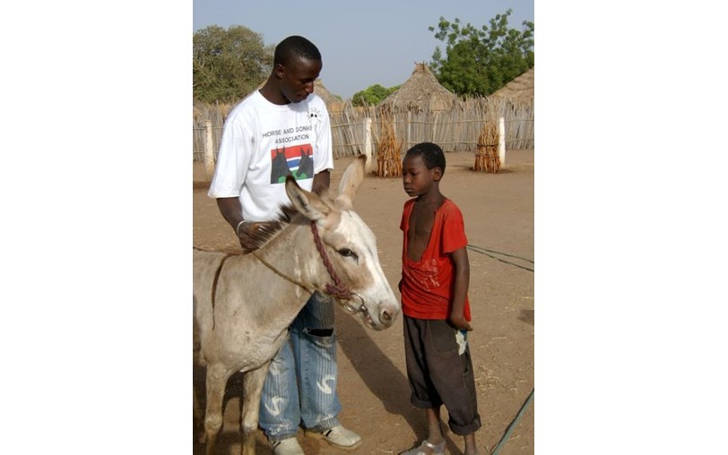 Val Borland is fundraising for The Gambia Horse And Donkey Trust Val Borland is fundraising for The Gambia Horse And Donkey Trust