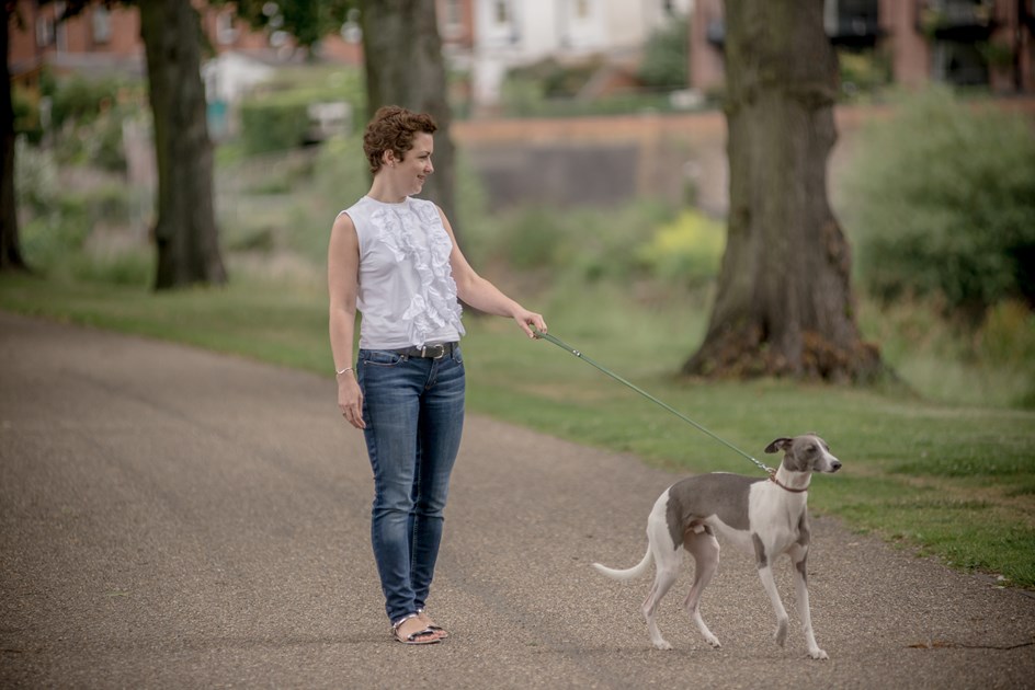 Chrissy Reeves is fundraising for Finding Furever Homes