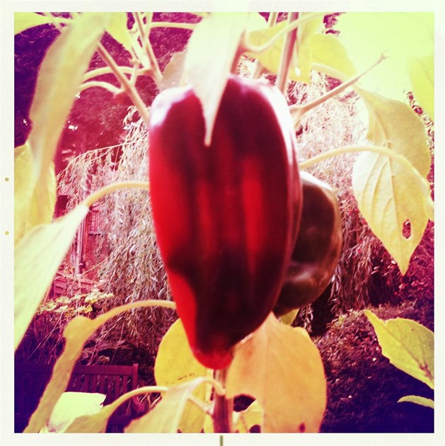 Tim Burley is fundraising for Bright Sparks