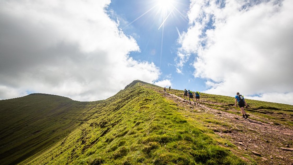 Neil Shorter is fundraising for Action Medical Research