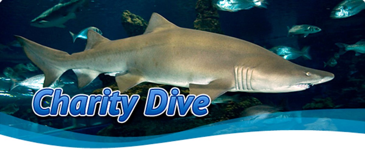 kelly-Ann Thomas is fundraising for YMCA Training