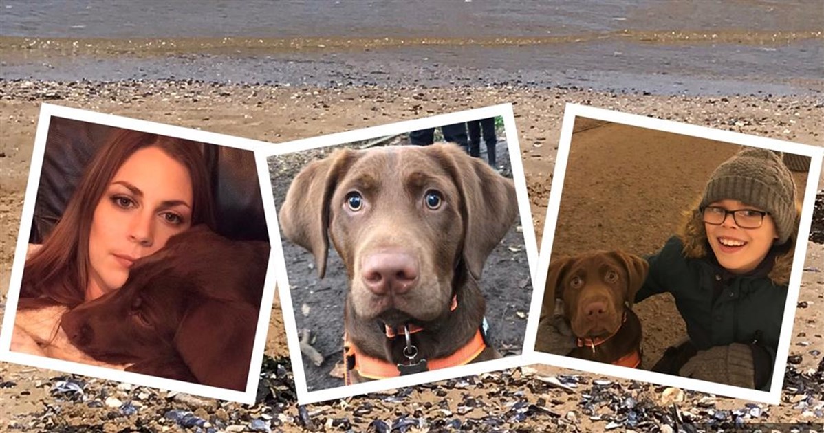 Carly Shaw is fundraising for Battersea