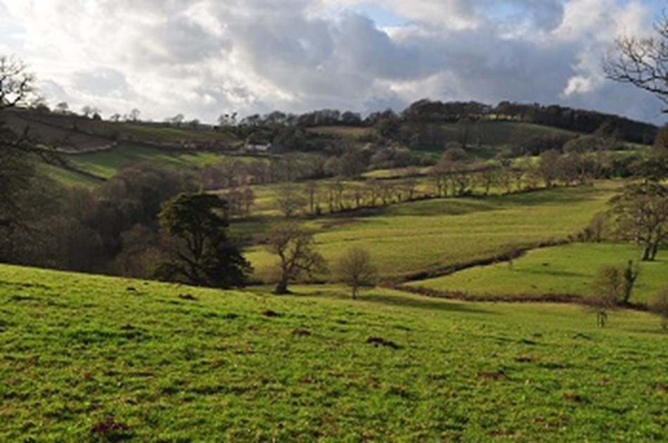 Amy Greig is fundraising for Hospiscare