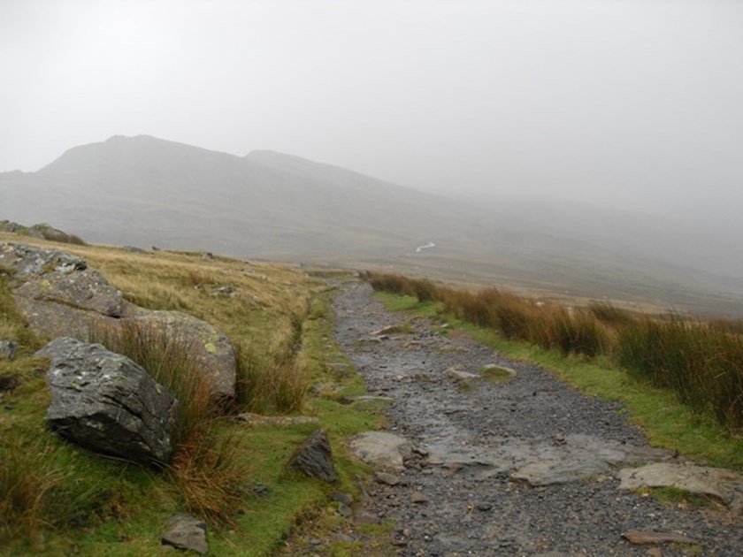 Alexandra Farrow is fundraising for Marie Curie