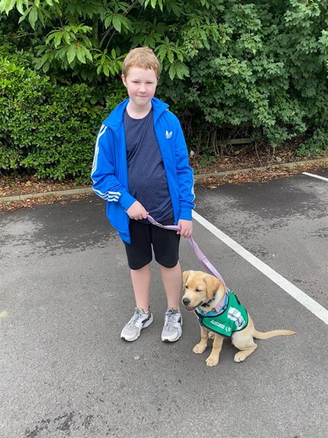 Helen Collier is fundraising for Tree of Hope