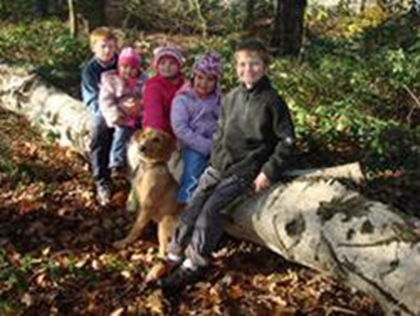 Jane Colville-Webster is fundraising for Cancer Research UK