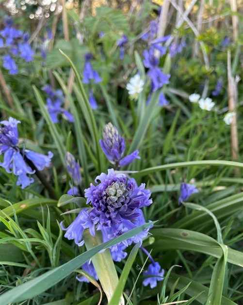 Helen Hinde is fundraising for The Misbourne UK