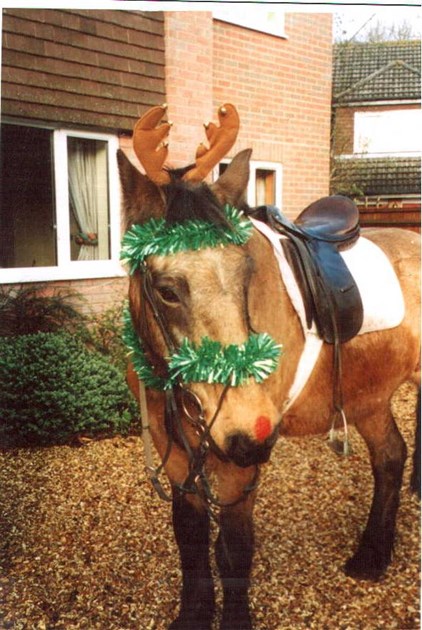 holly pattison is fundraising for The Royal Marsden Cancer Charity