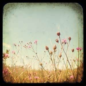 Sarah Sowden is fundraising for Cancer Research UK