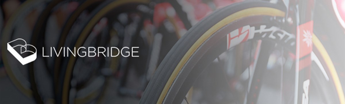 Livingbridge Team is fundraising for Impetus