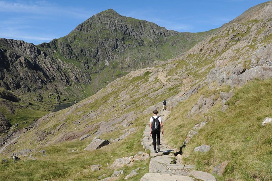 Daniel Brocklehurst is fundraising for FND Action