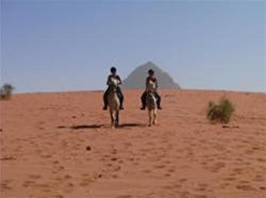 Catherine Fry is fundraising for The British Horse Society