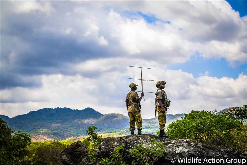 Thuma Forest Reserve - Wildlife Action Group is fundraising for Tusk Trust