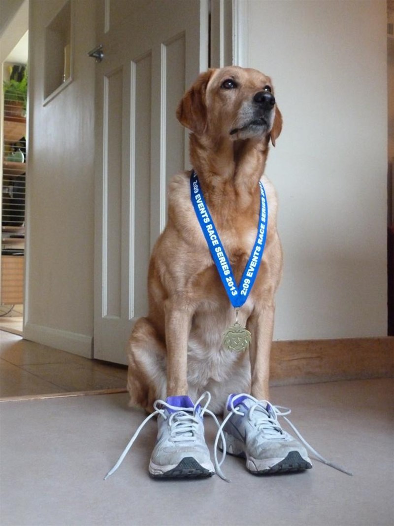 Allison Talbot is fundraising for National Autistic Society